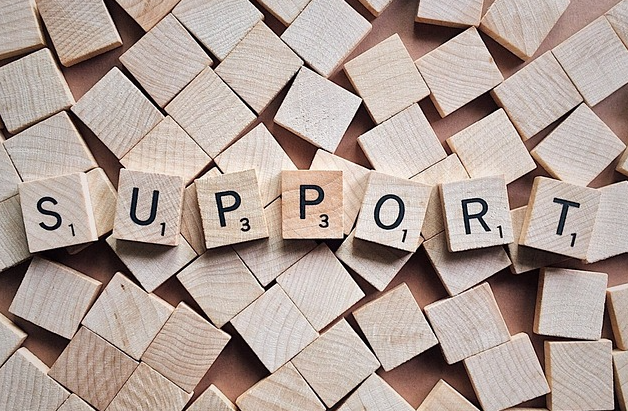 The Support System(s) – thedashinthemiddle.com